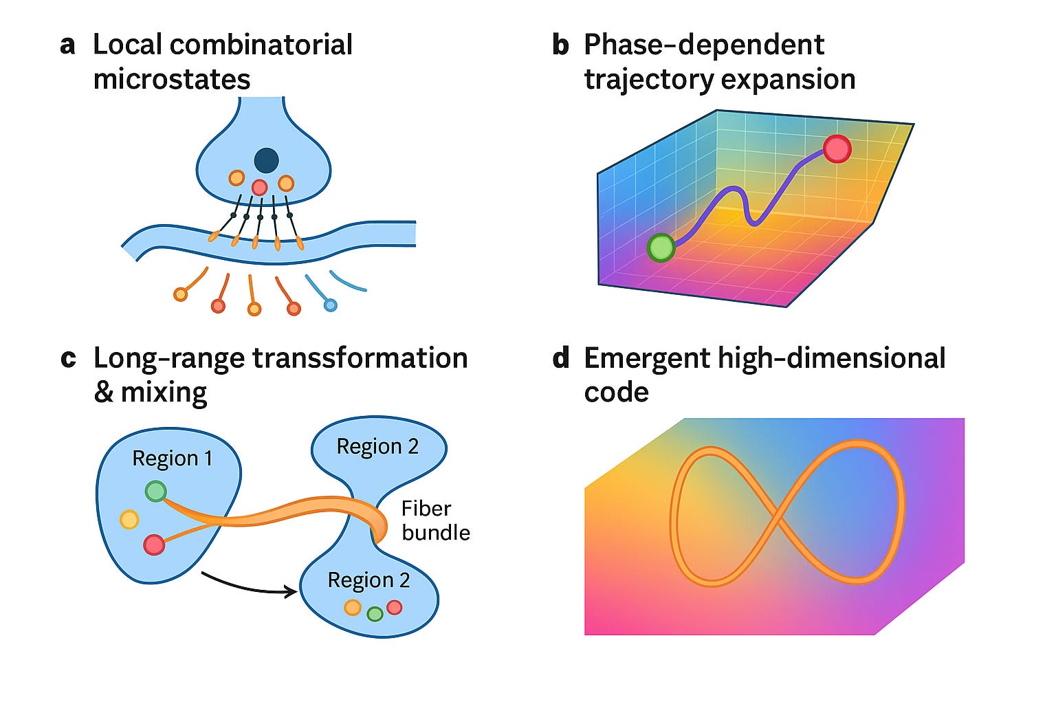 The Brain Infinite Code: How Neural Networks Create More Information ...