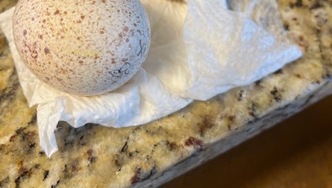 Growing The Flock Up | Natalie Sandoval | Substack