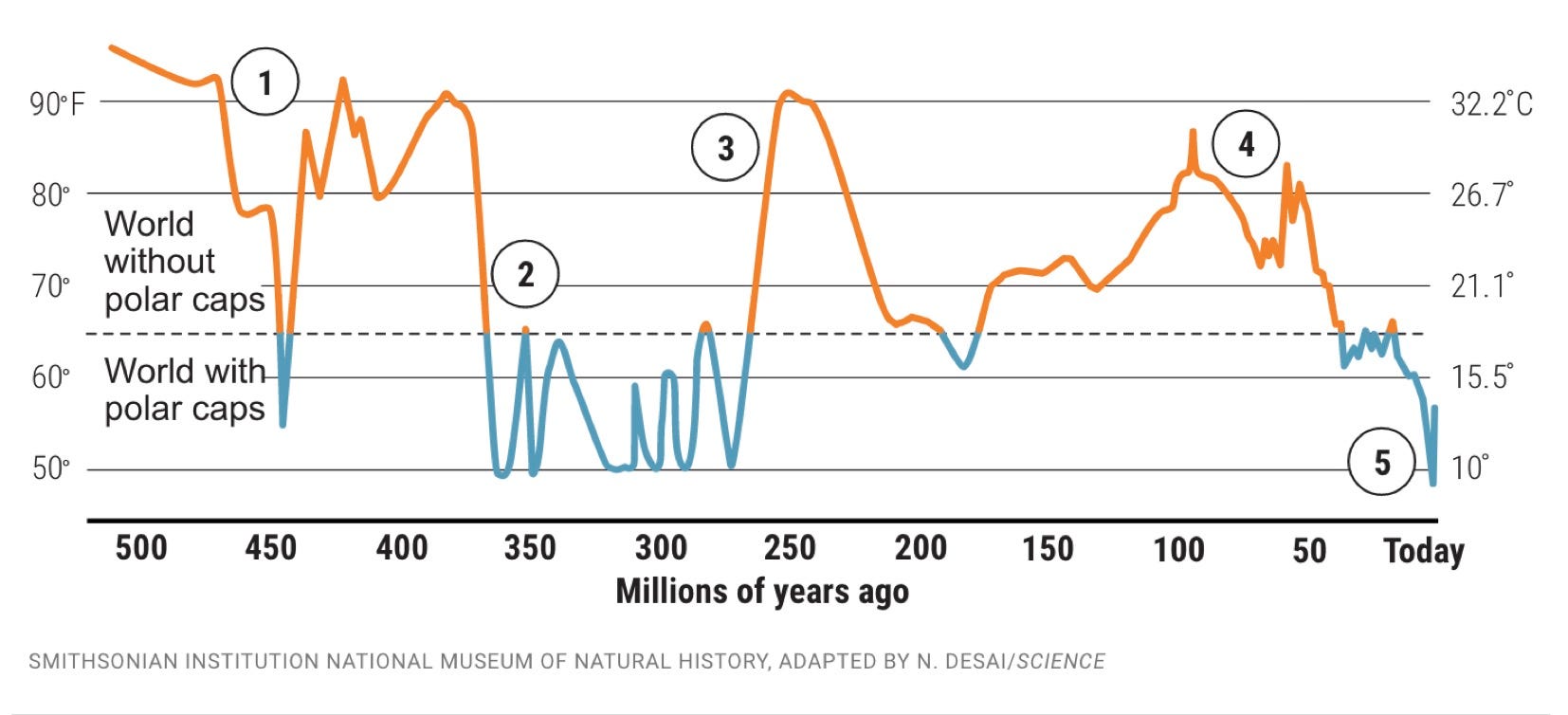 The Hockey Stick - David Friedman’s Substack