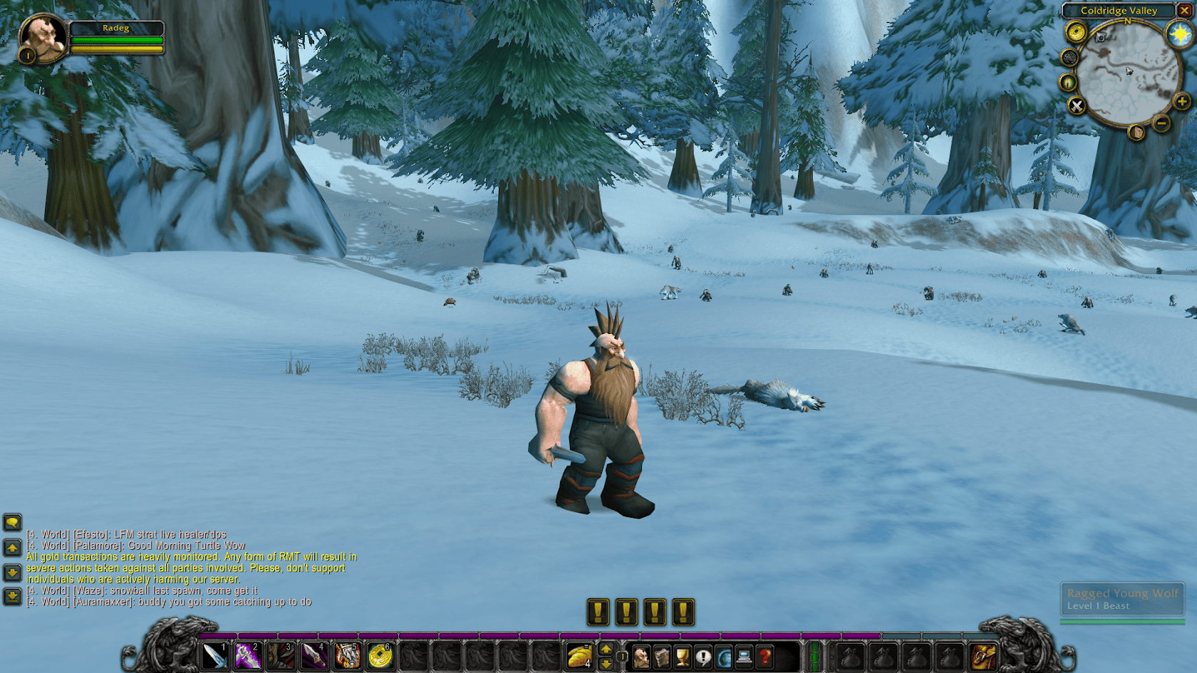 Searching for the ideal MMO: TurtleWoW