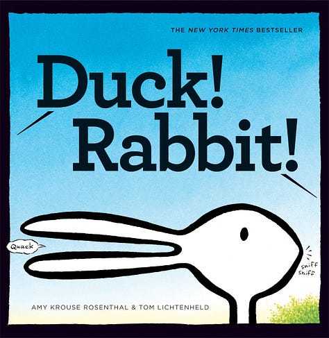 Duck-Rabbit Illusion - by Remo Giuffré - REMORANDOM