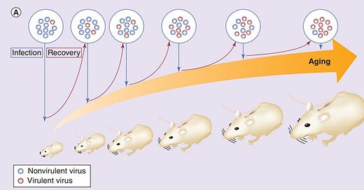 Matthew’s Substack | Matthew North | Substack