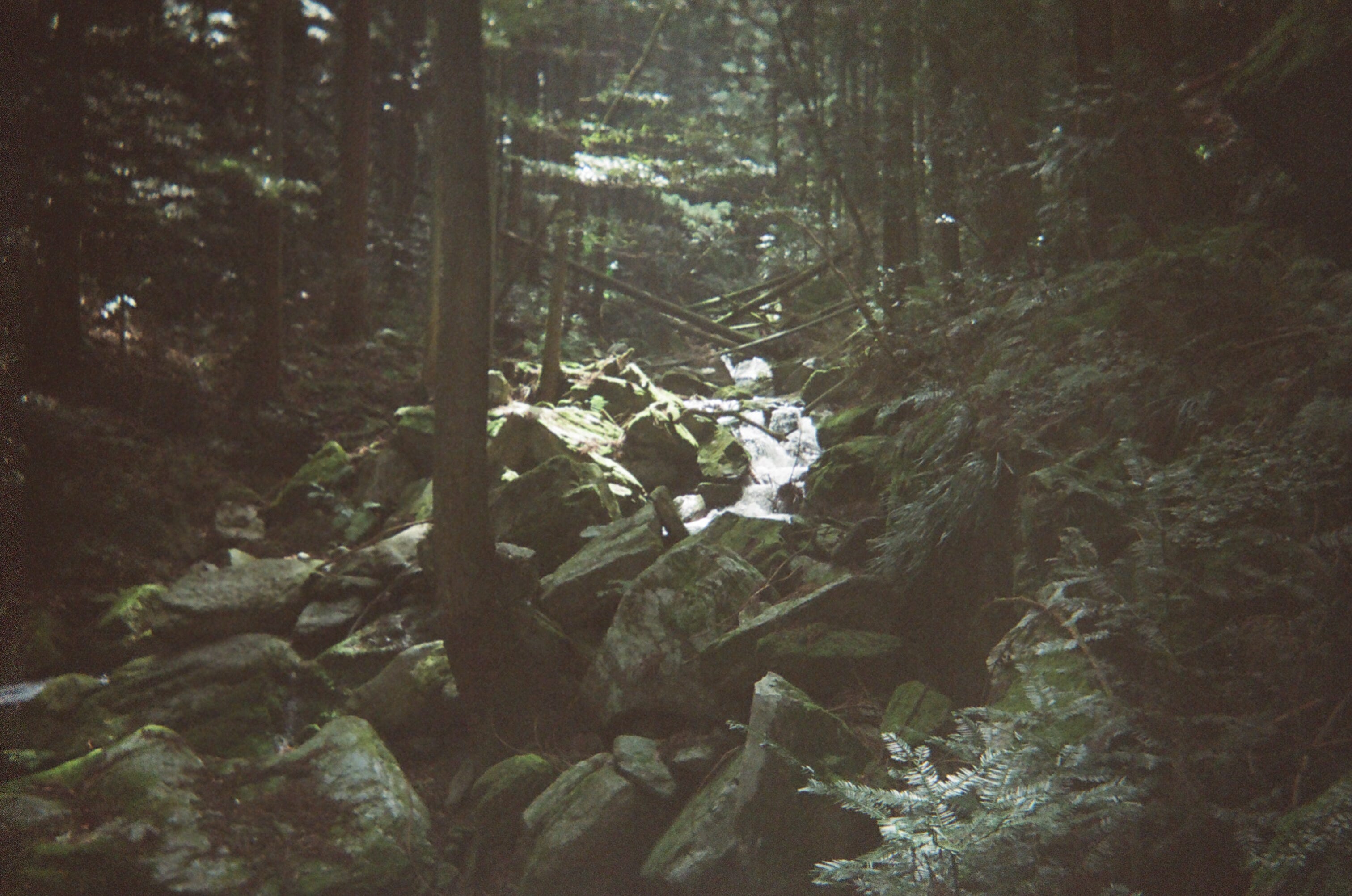 Trip report: Shikoku, Japan - by Patrick Boxall