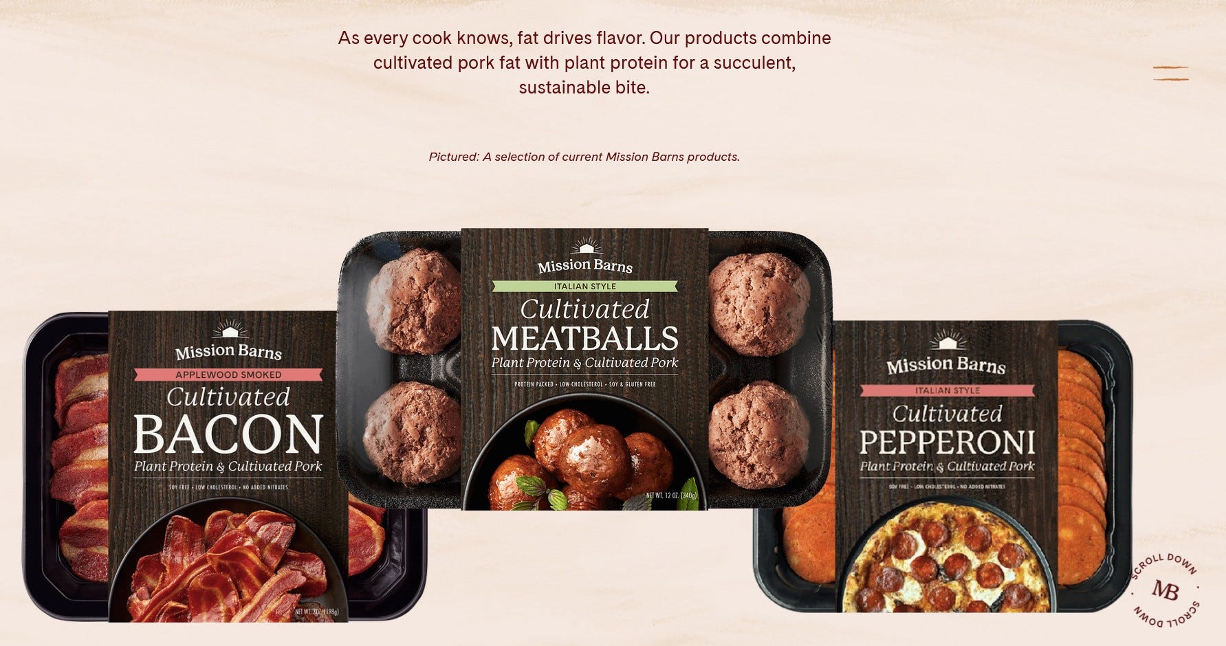 Cell-cultivated pork fat (meat replacement) | ResetEra