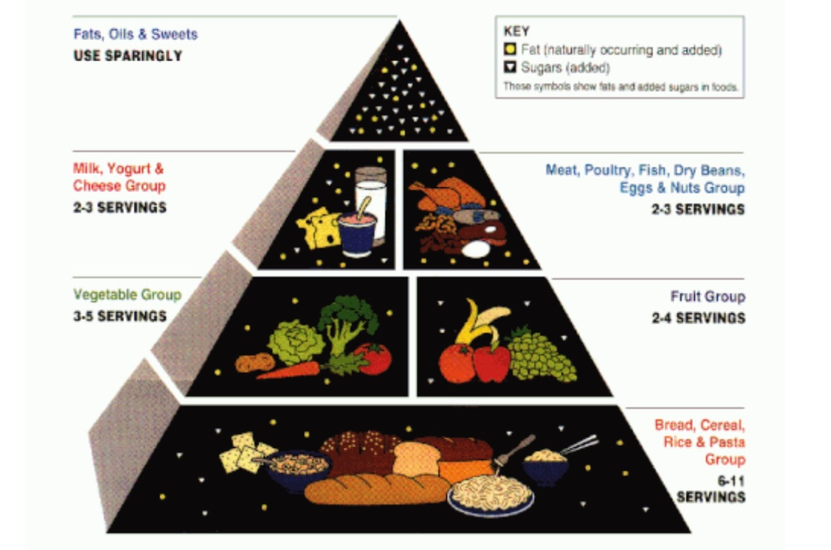 The food pyramid is back - by Shana Minei Spence