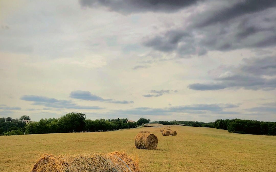 A Fantastic Update and Offer - by David Roseberry