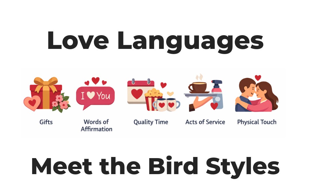 Love Languages Meet the Bird Styles: How Personality Shapes the Way We Love