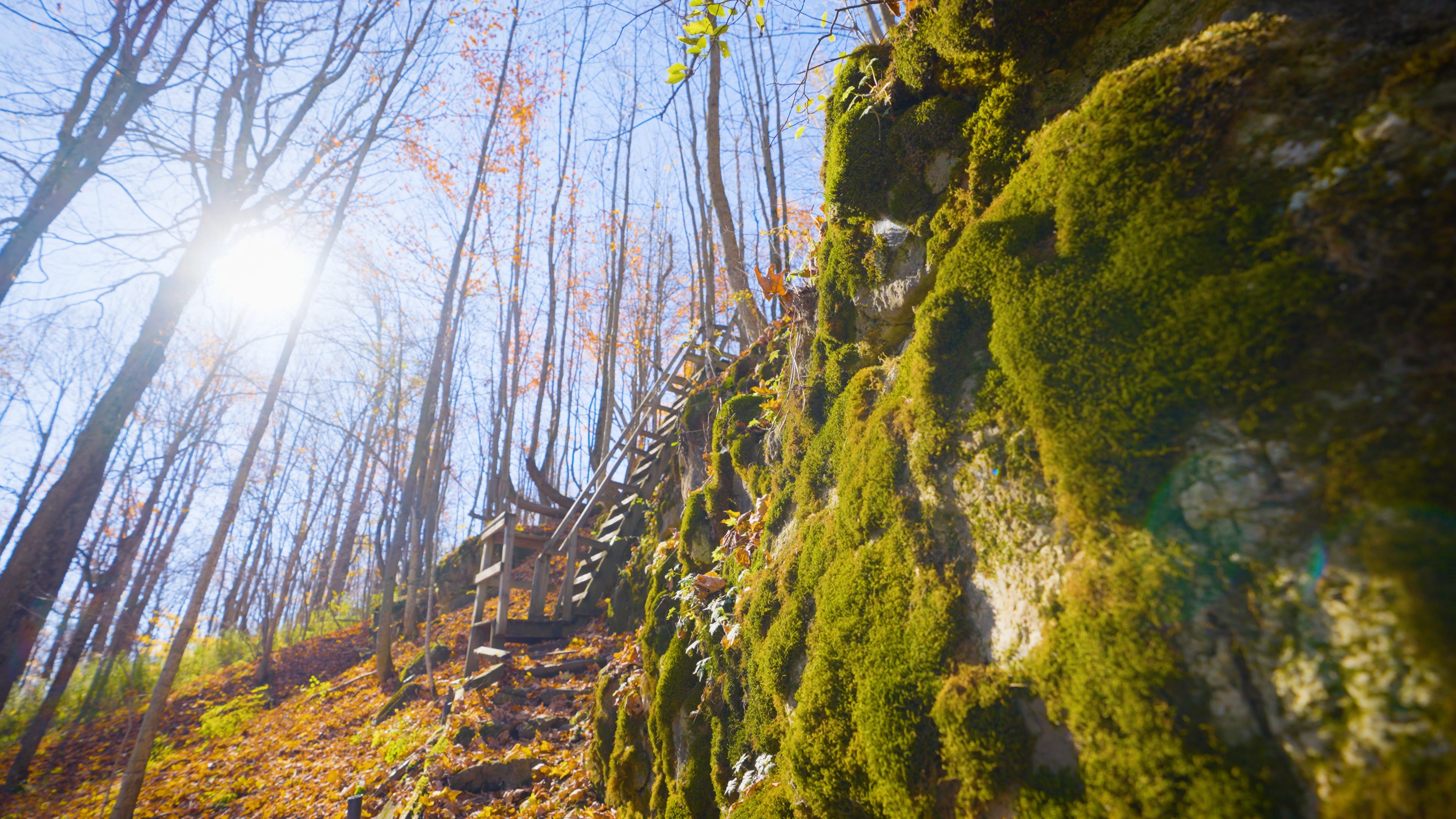 Bruce Trail Conservancy Launches $7.5M Campaign to Protect and Restore ...