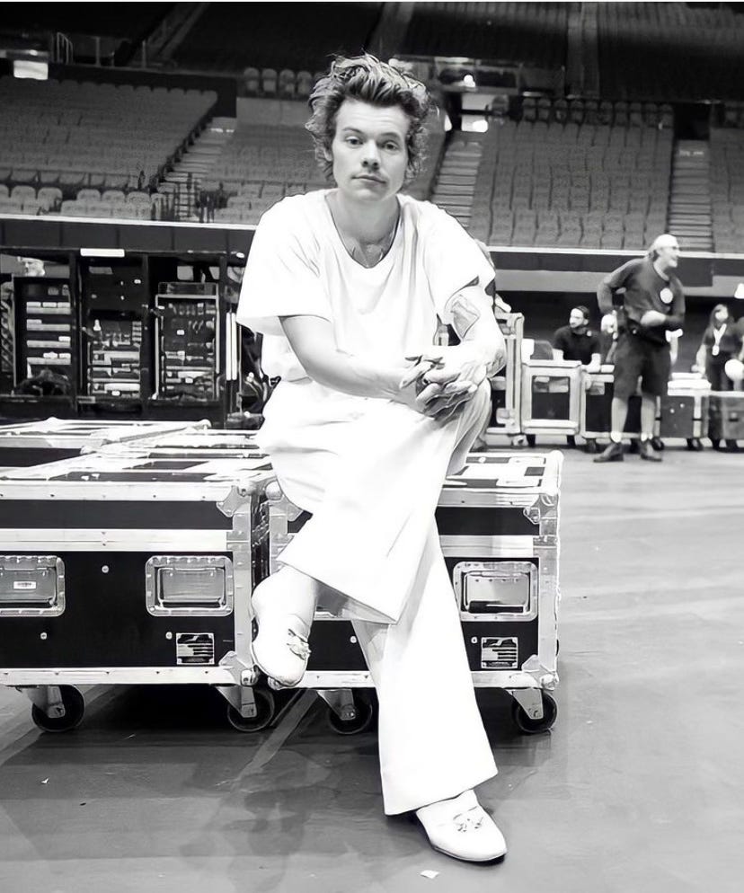 Harry Styles Turns 30 - Learn All His Fandom Nicknames