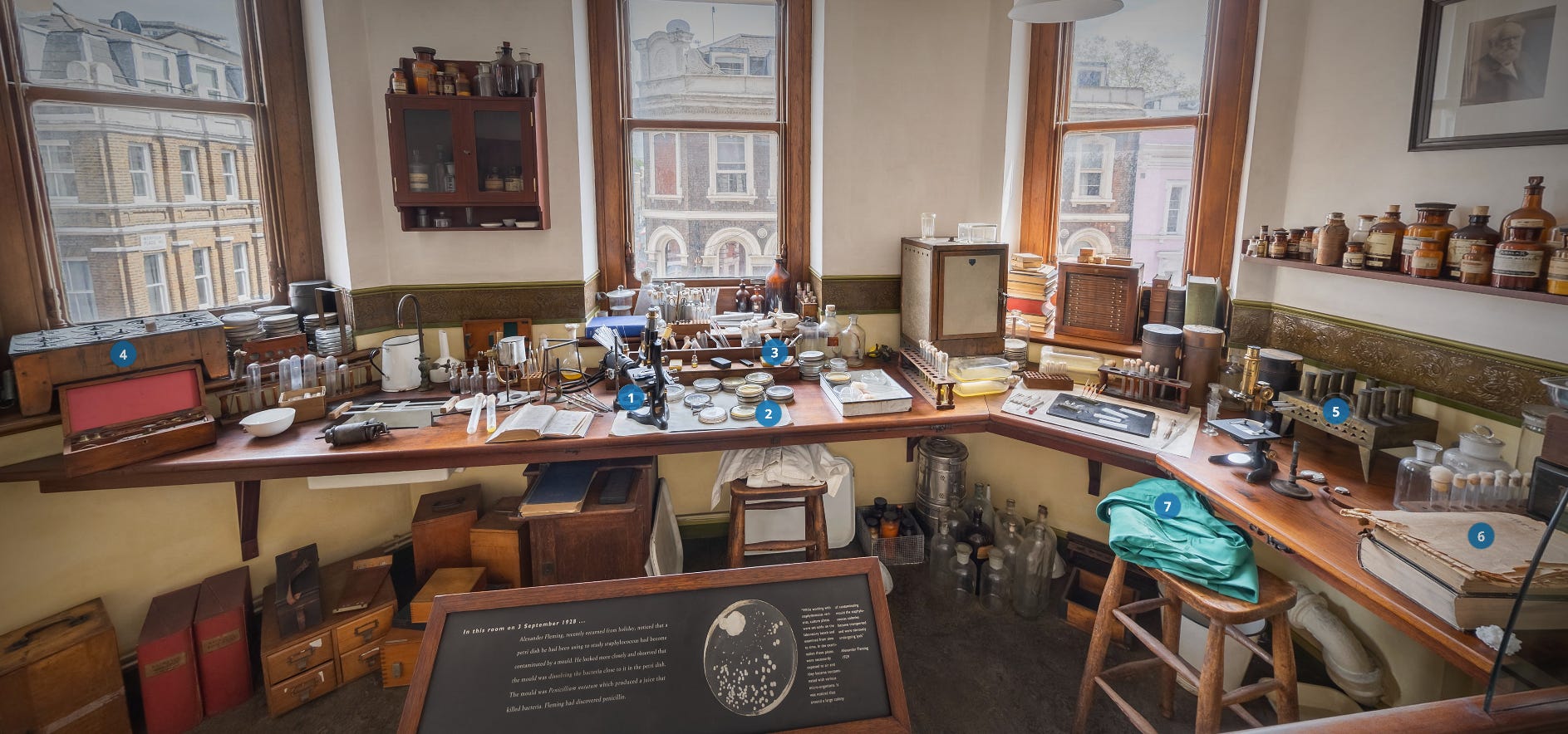 The Penicillin Myth - Asimov Press