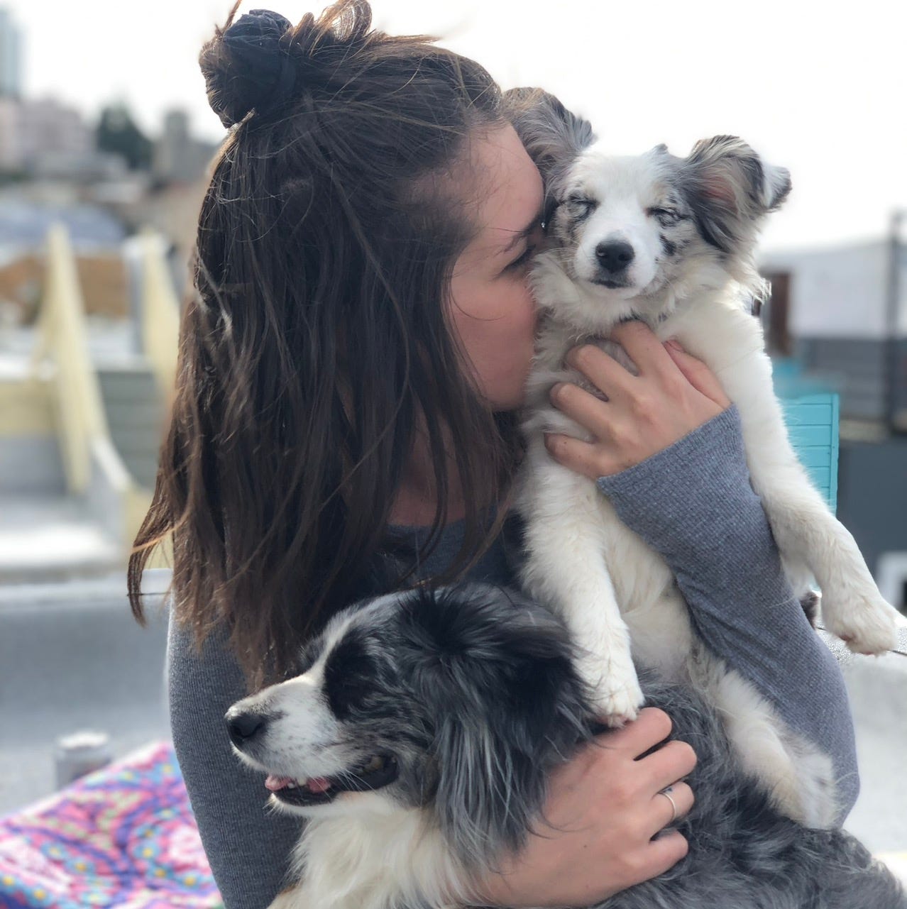 Carly Allcorn | Substack