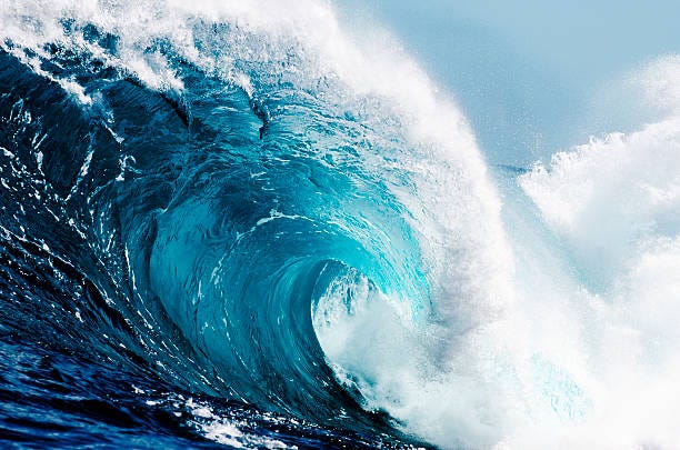 2025 Elections: A Blue Tsunami of Hope