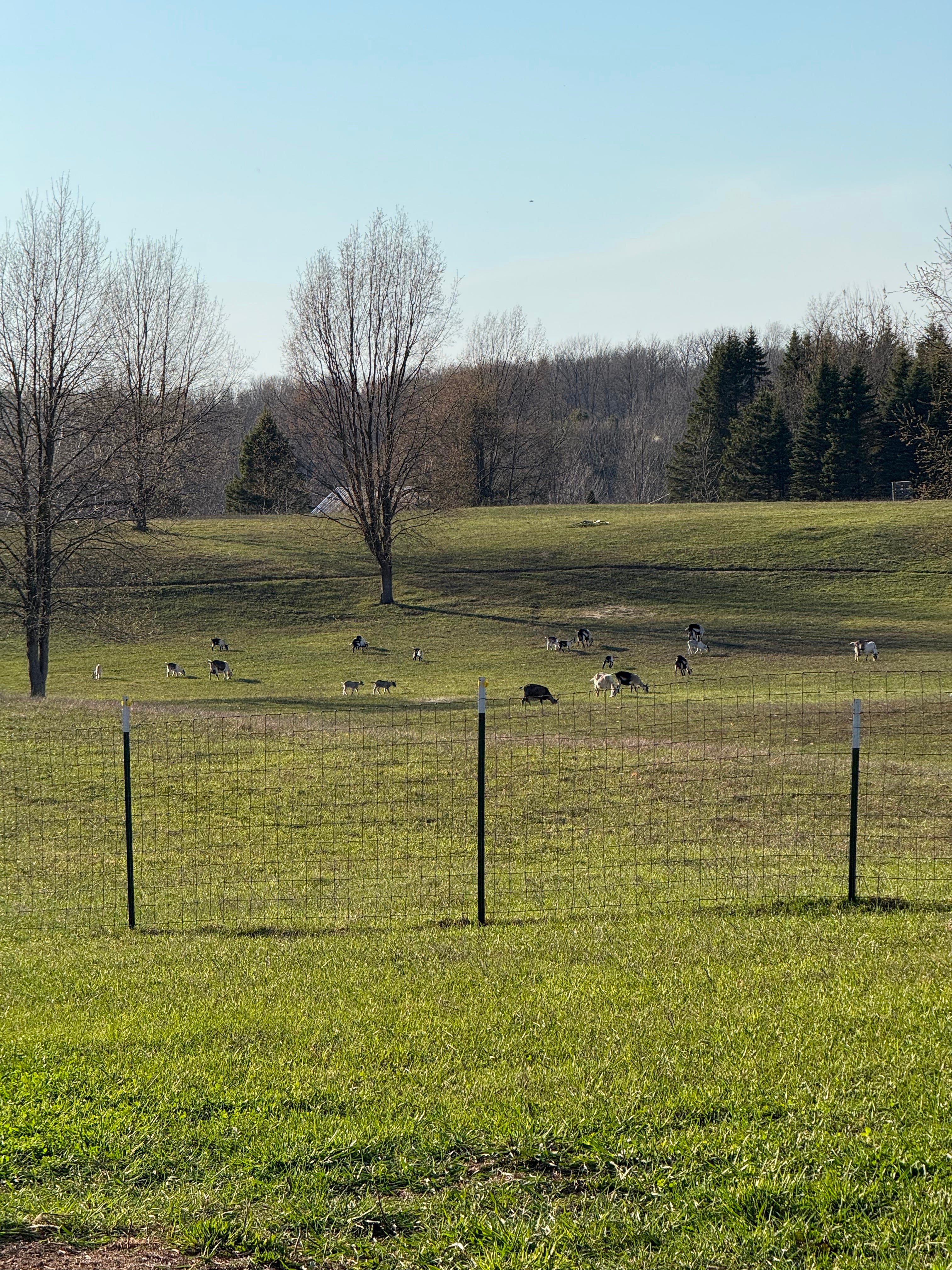 J2 Farms and Cedar North Newsletter - by Julie Botsford