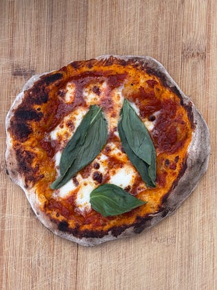 Terrence Gutiérrez | Substack