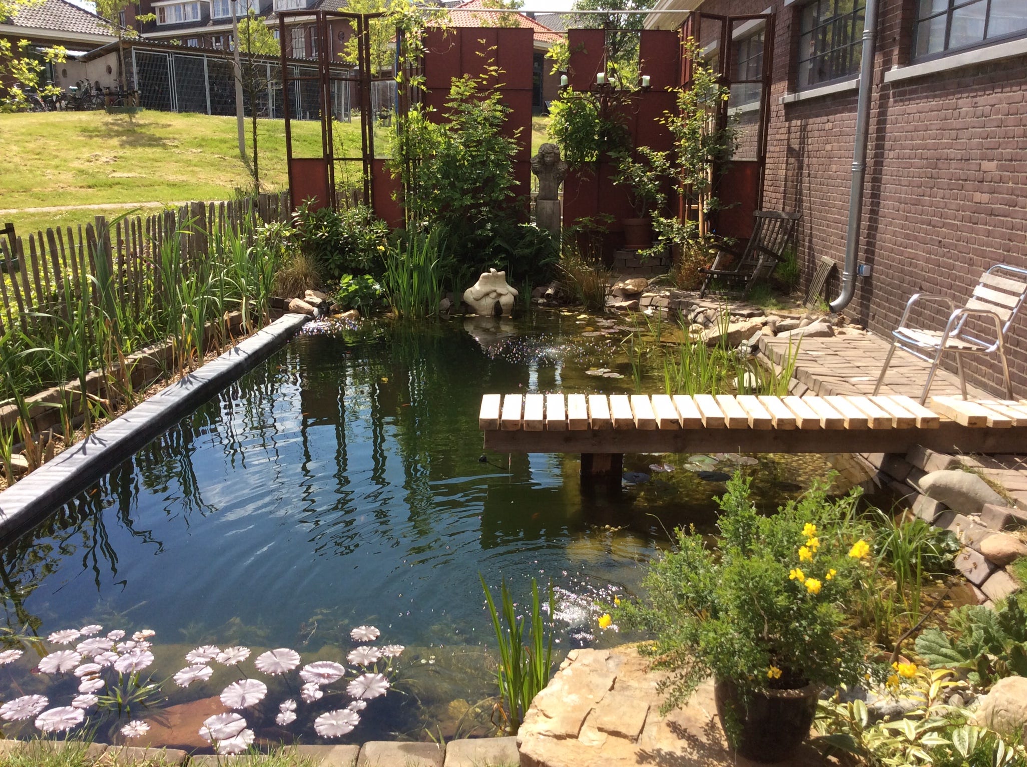 Pool Gallery - Organic Pools by David Pagan Butler