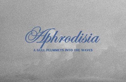 the Mazarine Mirror | I/MARIE | Substack