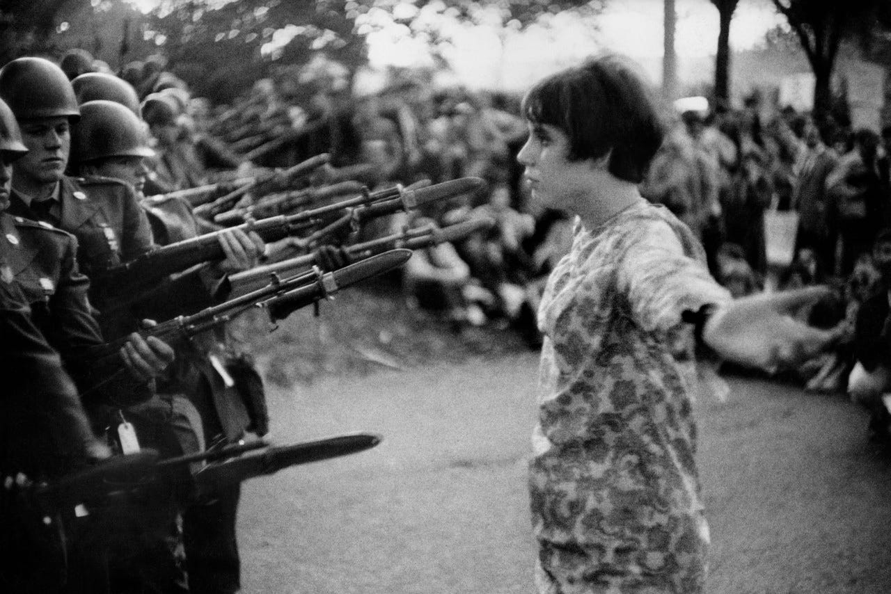 The American Resistance - by Summer Brennan