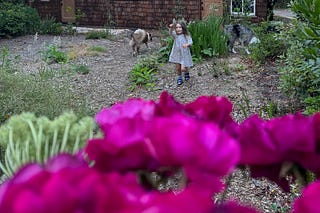 By Candlelight | Lacy Phillips | Substack