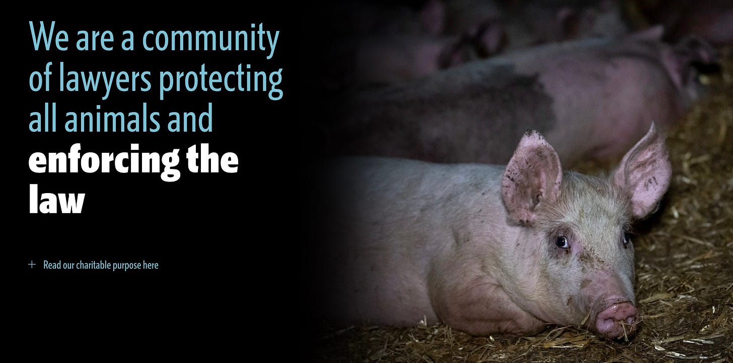This might be the biggest news for animals in years - Protect the Wild