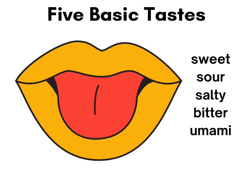 What You Need to Know About MSG: Myths, Facts, and Practical Uses