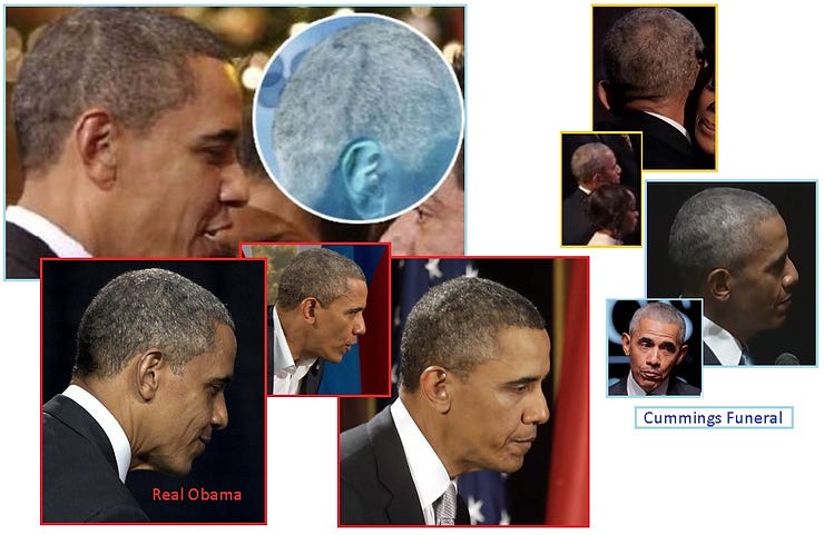 The Executed: Clones, Doubles, & Vril Lizard Reptilian Parasites