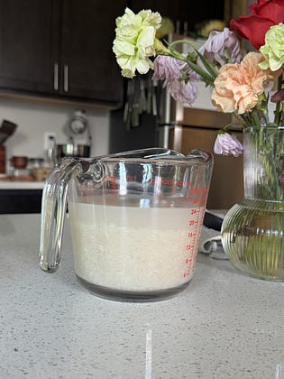 Madison Malin | Substack