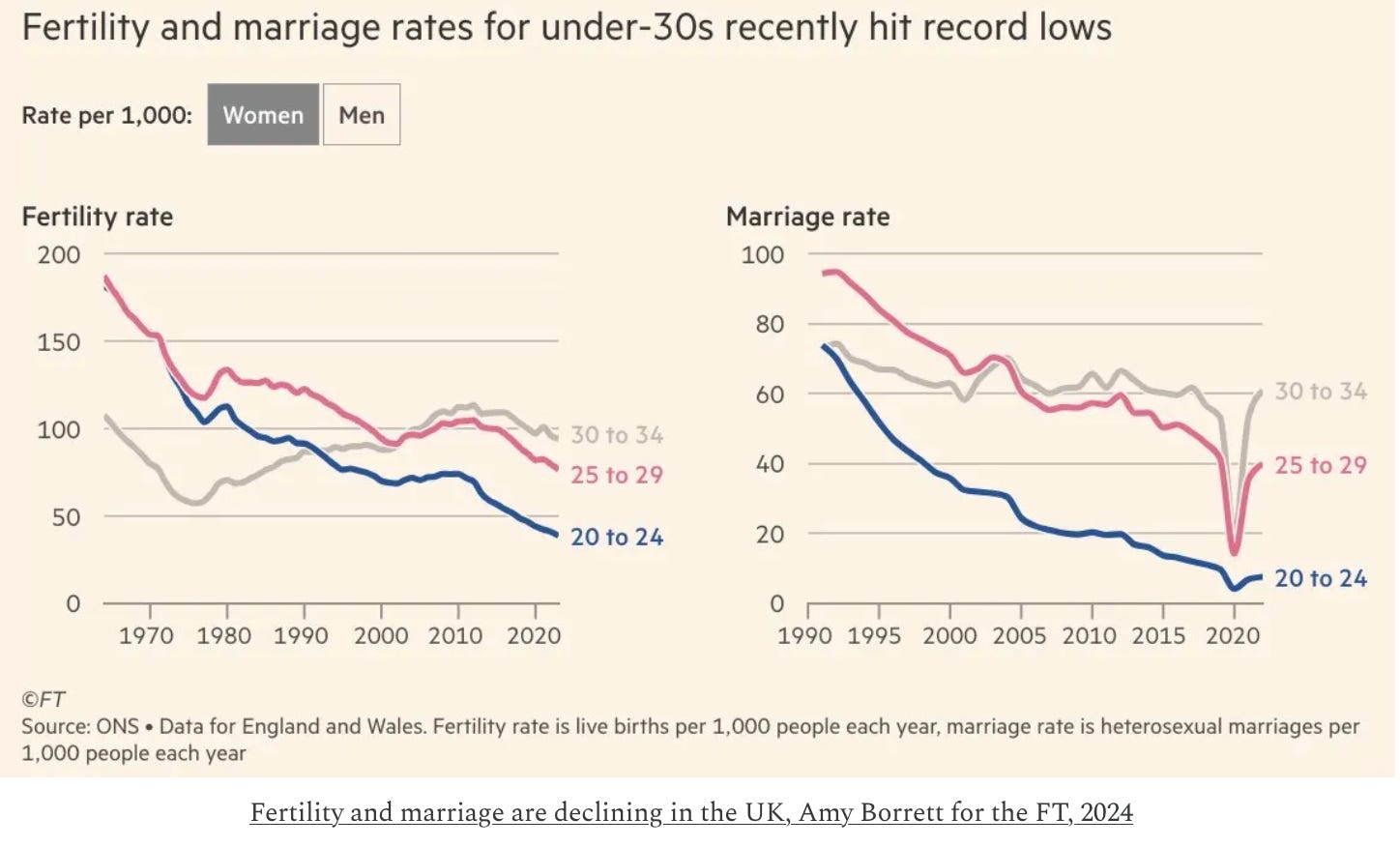 The housing theory of everything: fertility edition