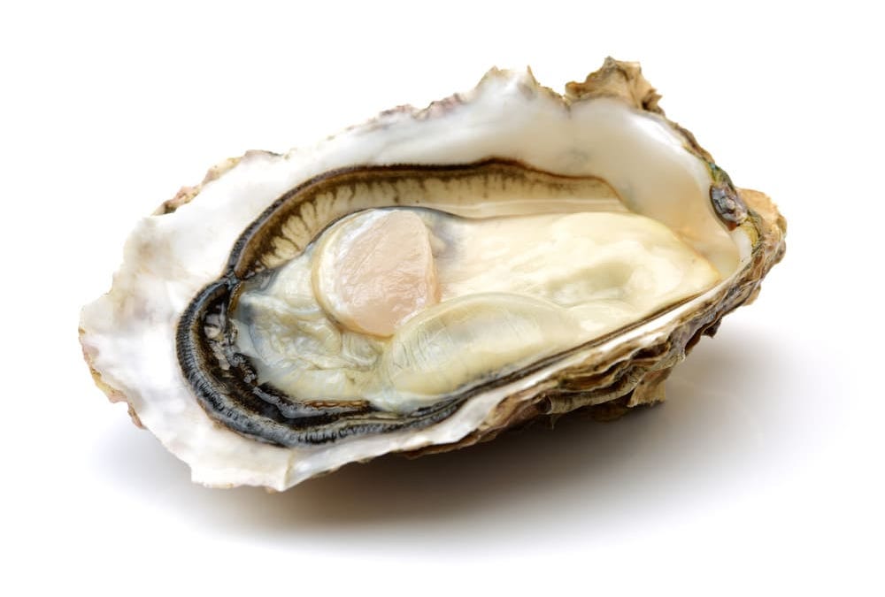 Raw (coach) Al - by Coach Al - Primal Soccer