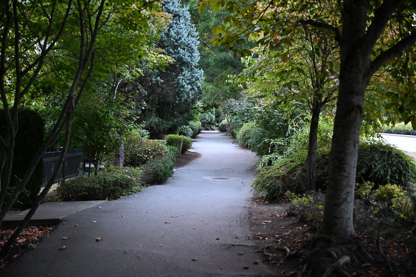 The Disease of Completionism. - by Reece - Cinq Personnes.