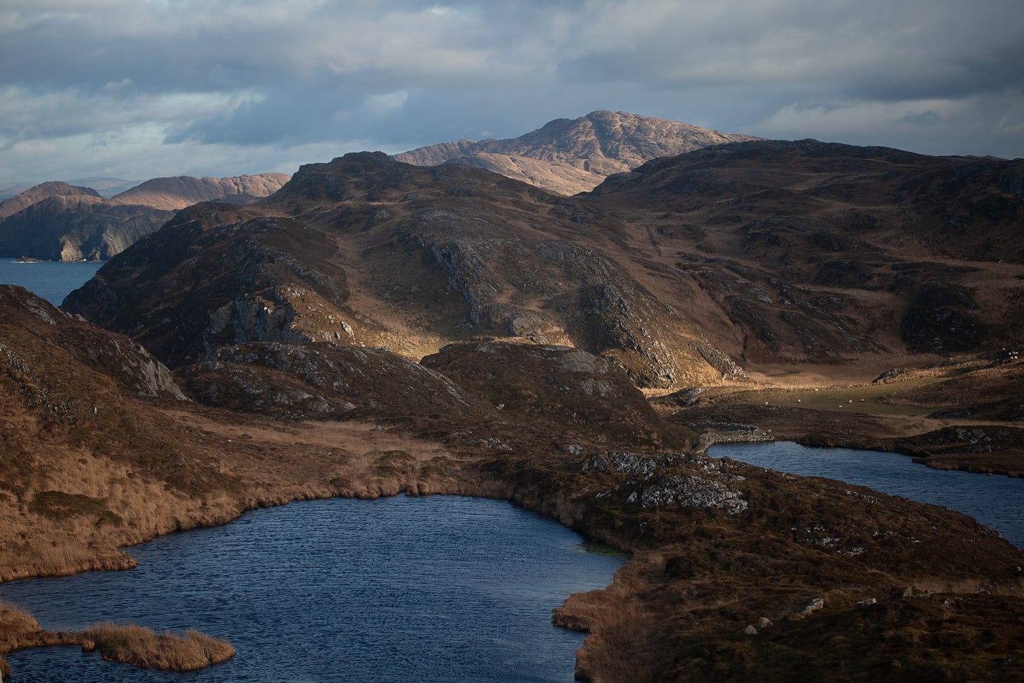 A New Year Wild Edge Walk