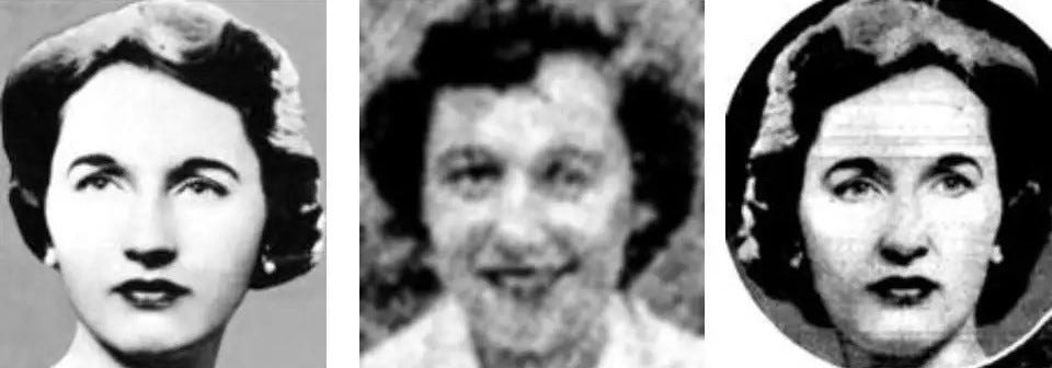 The Bizarre Disappearance of Joan Risch - by Michelle Short