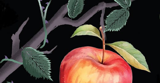 Lorna Bevan | Substack