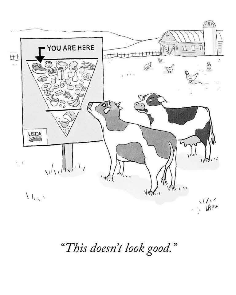 REAL FOODsteria: Best Food Pyramid Memes