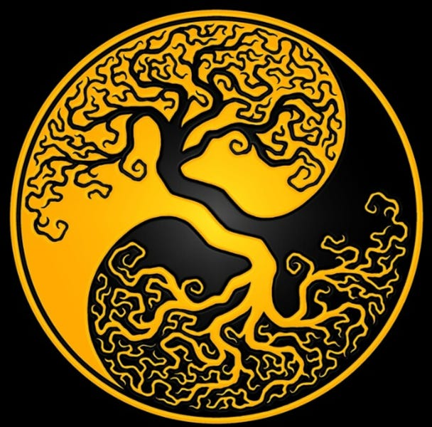 The Six Geometries of Metatron's Cube - by Xlvntr Ampersand