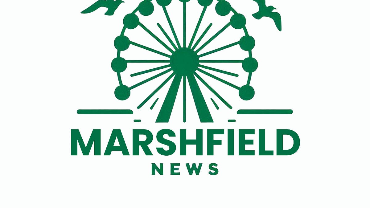 marshfield council