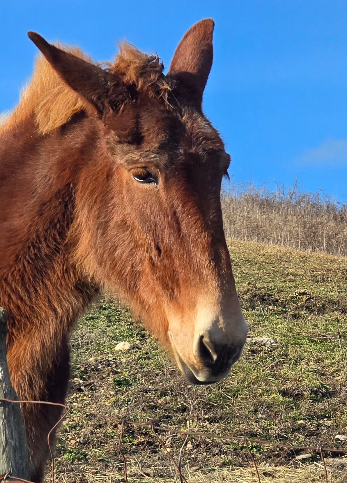 Let the bucket of memory down into the well,/ bring it up. Cool, cool ...