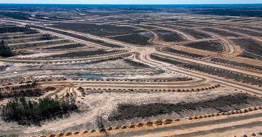 Thesis Driven | Brad Hargreaves | Substack