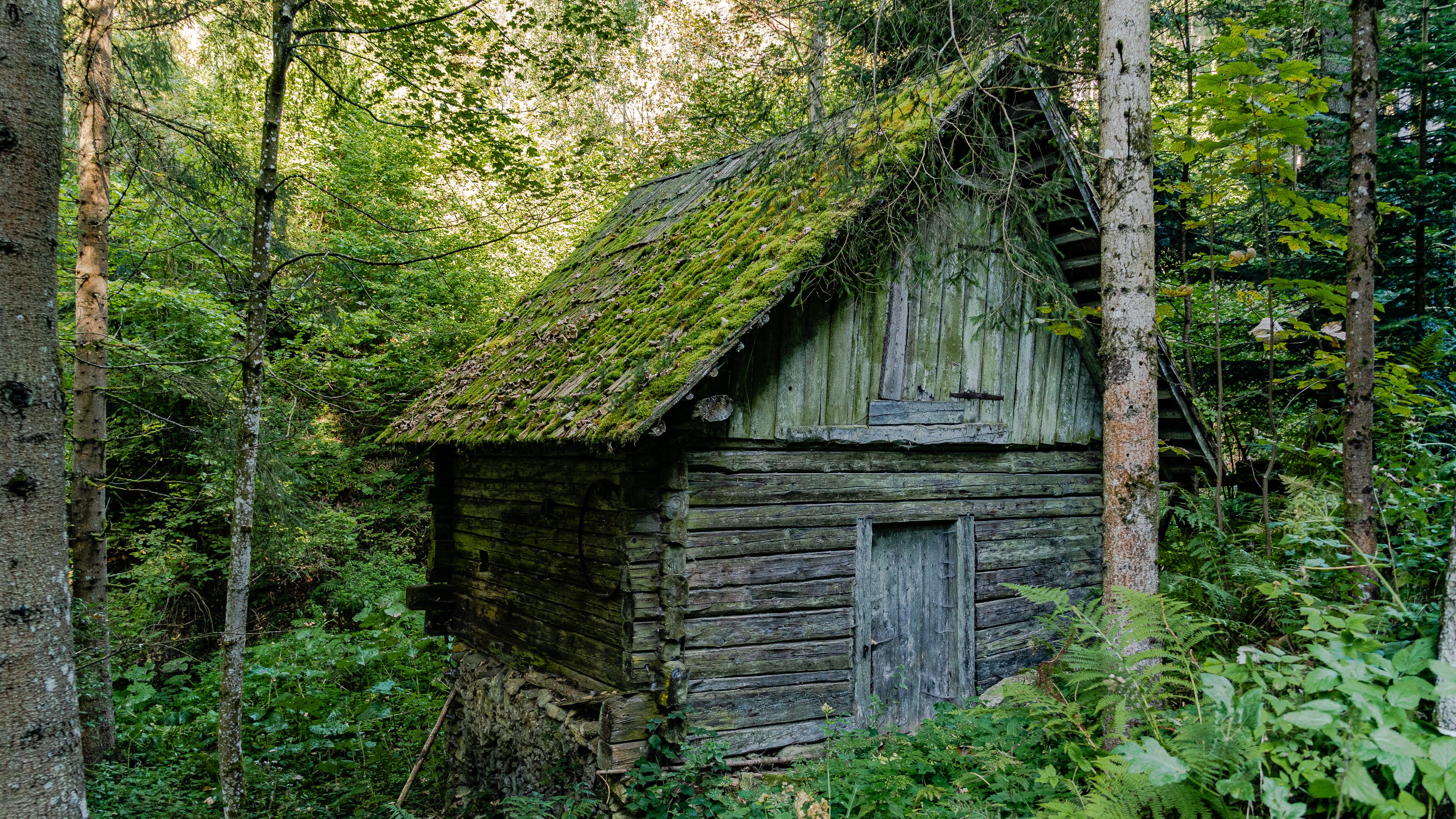 Estiria - by Javier Medina Bernal - El Substack de Javier