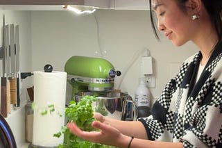 Qi Codes | Alice Sun | Substack