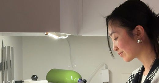 Qi Codes | Alice Sun | Substack