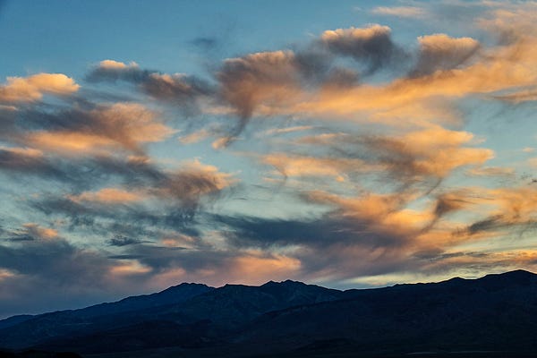 Life Rediscovered | Donna Smith | Substack