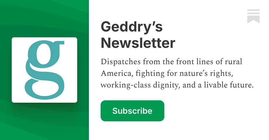 Geddry’s Newsletter | Mary Geddry | Substack