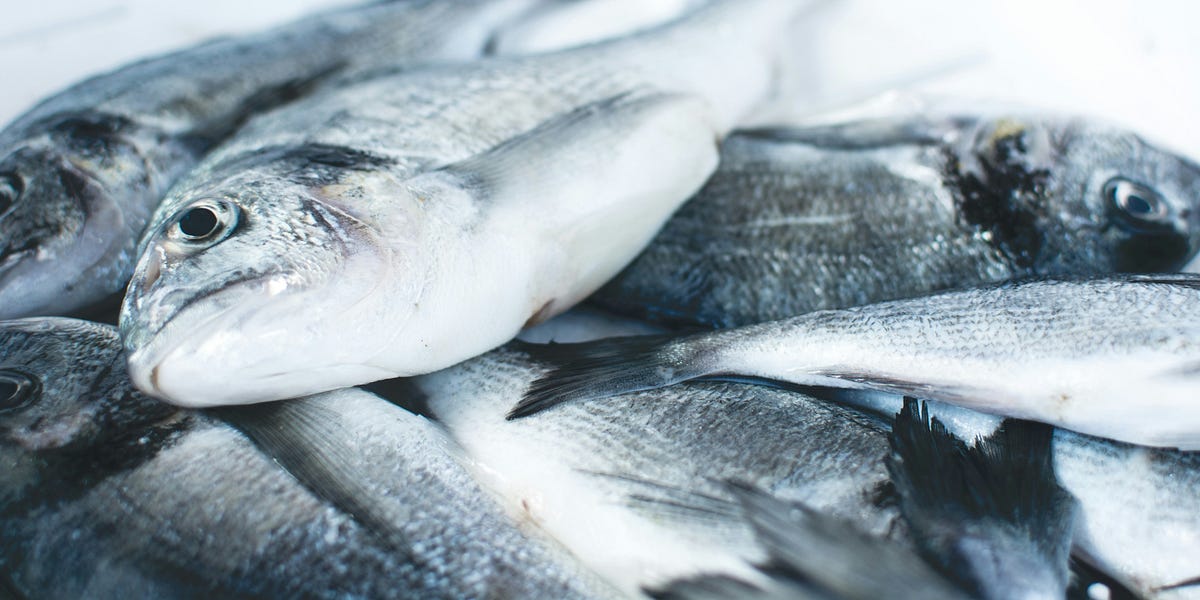 The Stinky Fish Exercise - by Jose Manuel Redondo Lopera