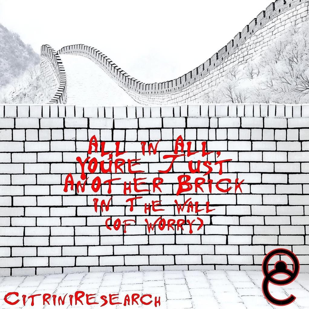 Another Brick in the Wall of Worry - Citrini Research