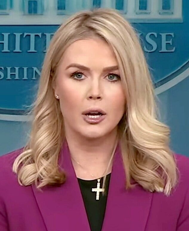 The Reich Stuff, Part II - by gene weingarten