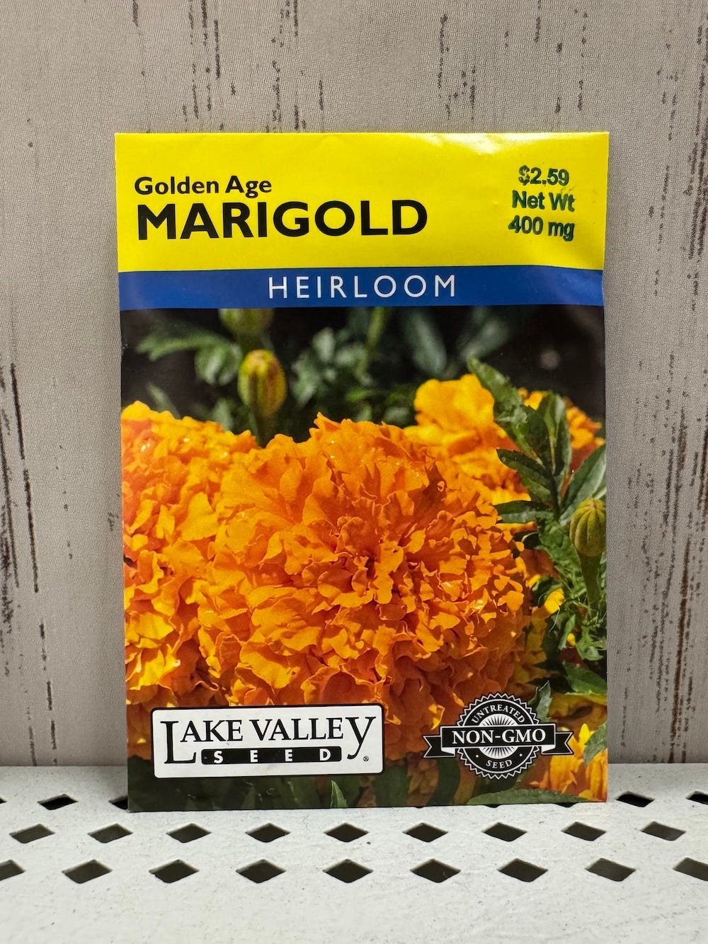 Seed Displays and Catalogs Are Here