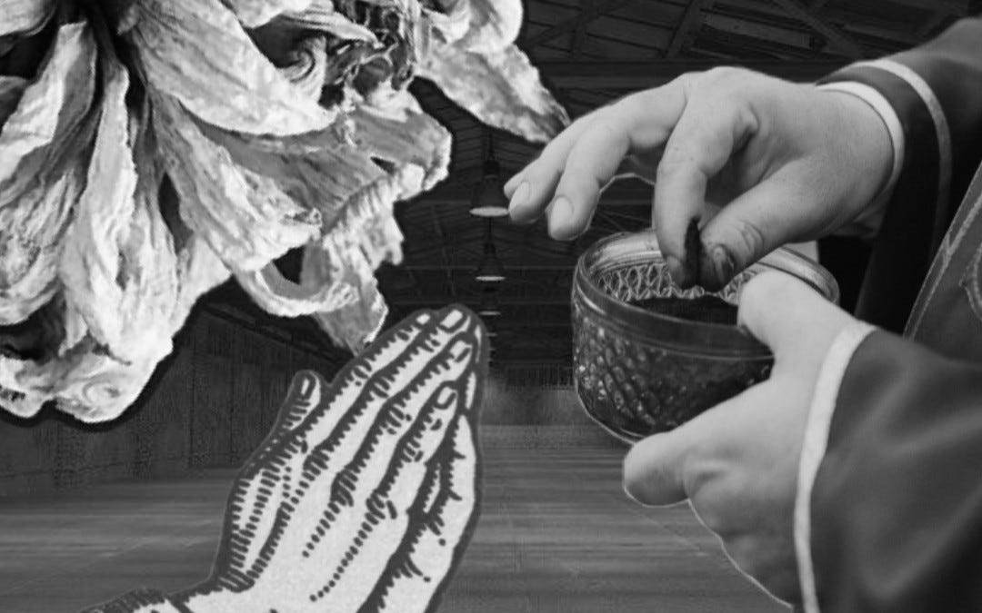 Necrocaptialism and Immigration - by Alejandra Oliva
