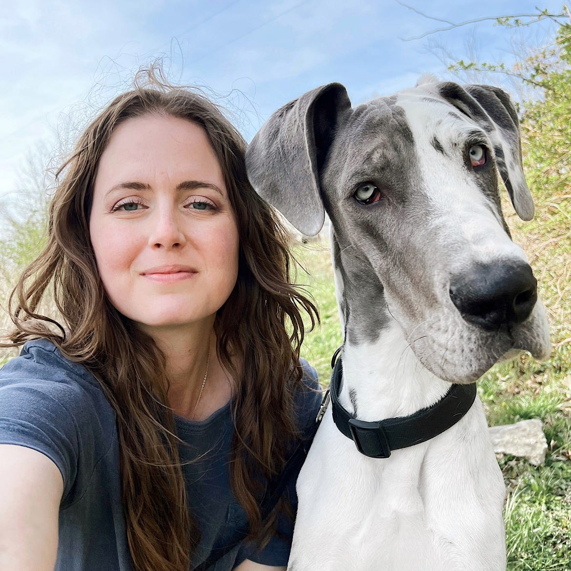 Breanne Rodgers | Substack