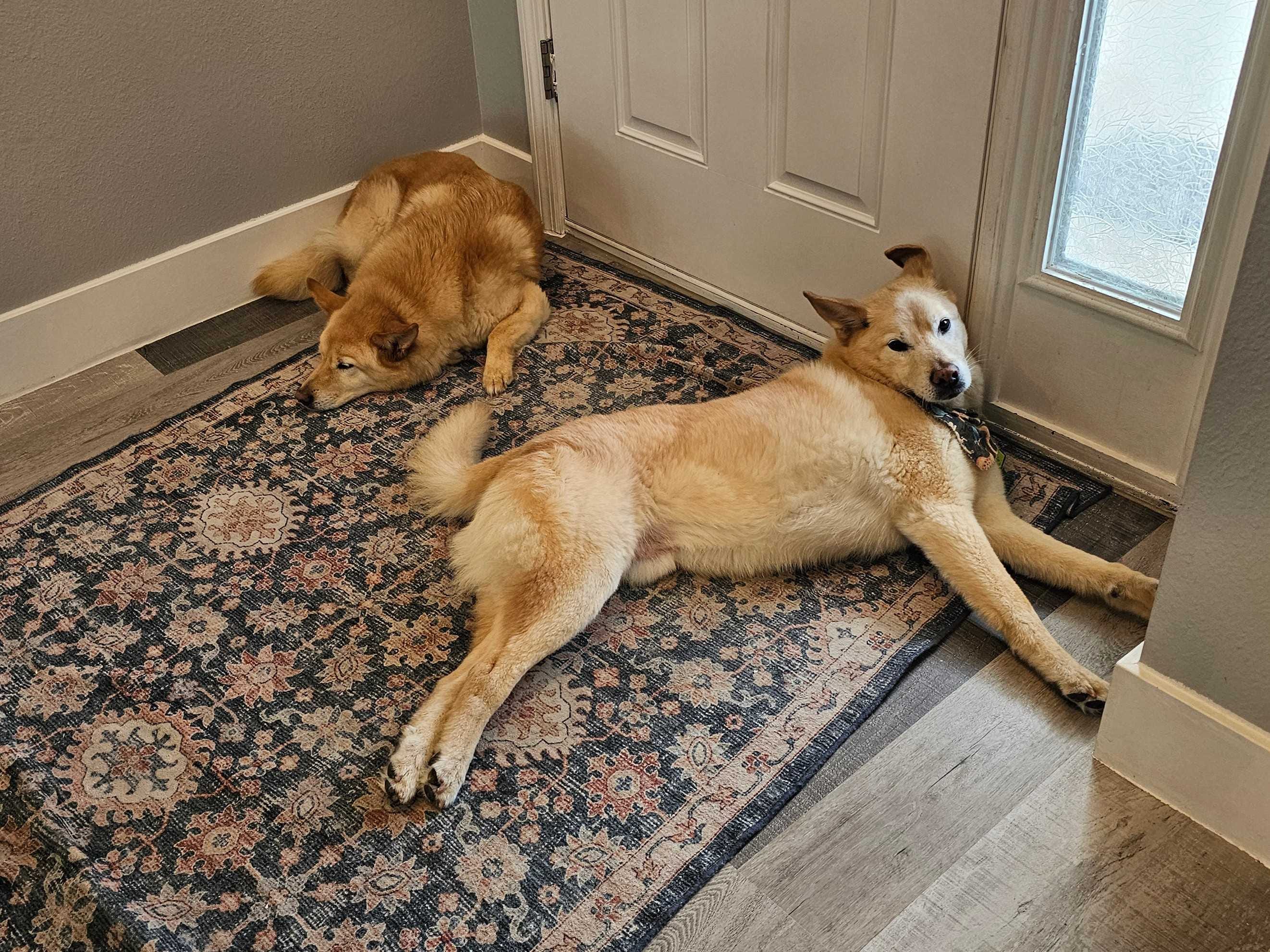 Bound By Words: Funded in 6 Hours! - by Cici Affini