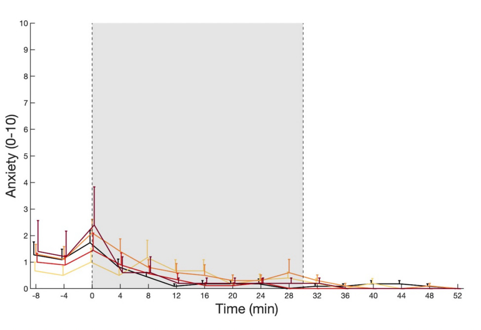 DMTx: The First Results... - by Andrew R. Gallimore